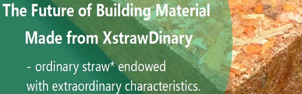 Planitree | RenewMaterial Shanghai